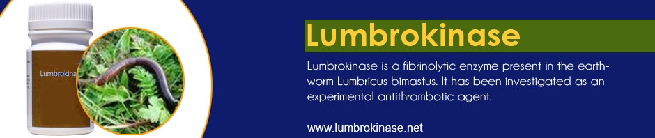 Lumbrokinase enzyme – Important facts to know ⋆ LumbrokinaseLumbrokinase